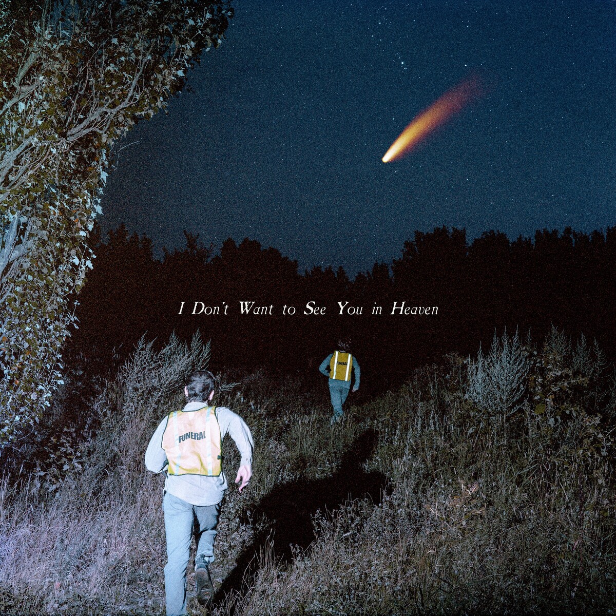 I Don't Want to See You in Heaven by The Callous Daoboys (Album ...