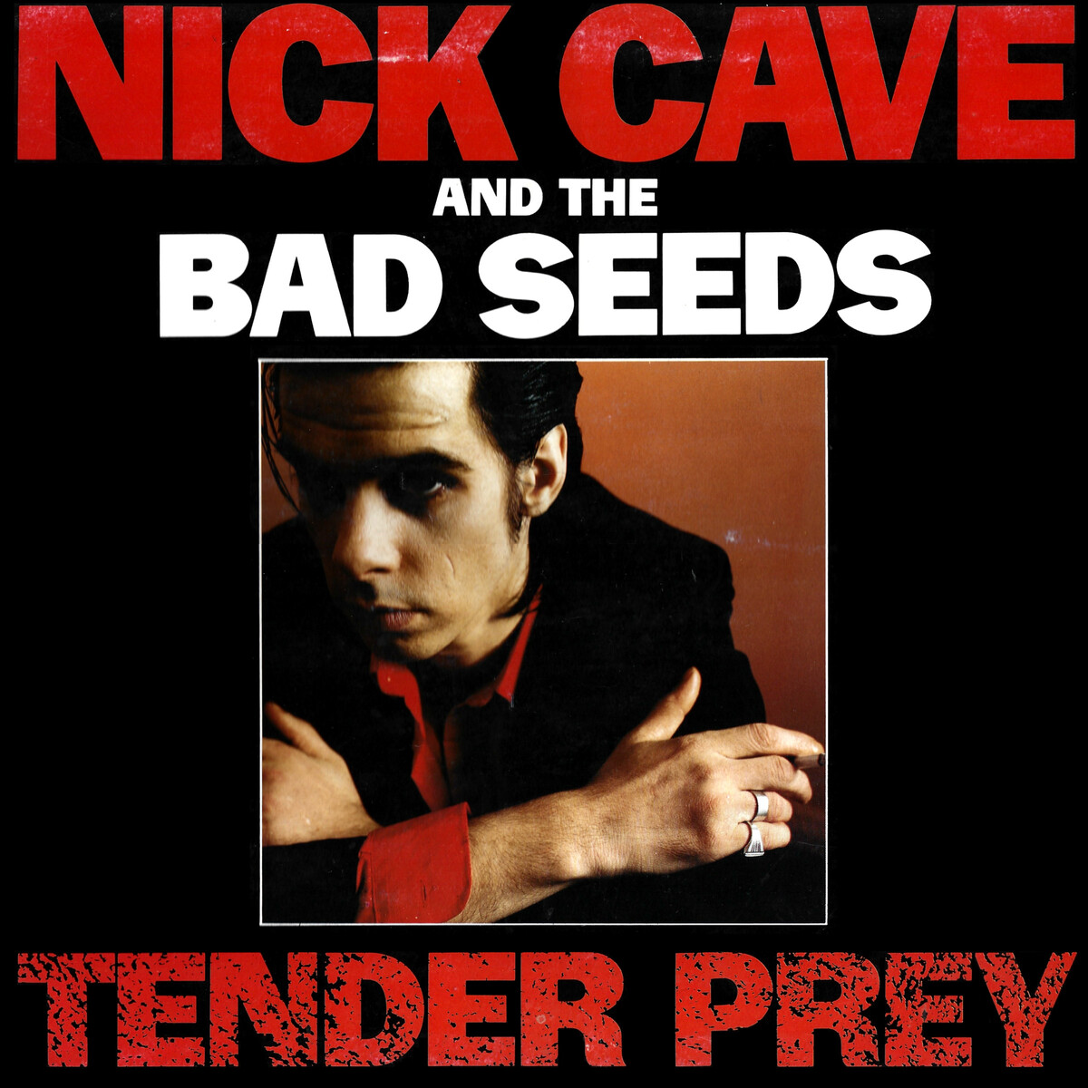 Best Nick Cave & The Bad Seeds songs of all time - Rate Your Music