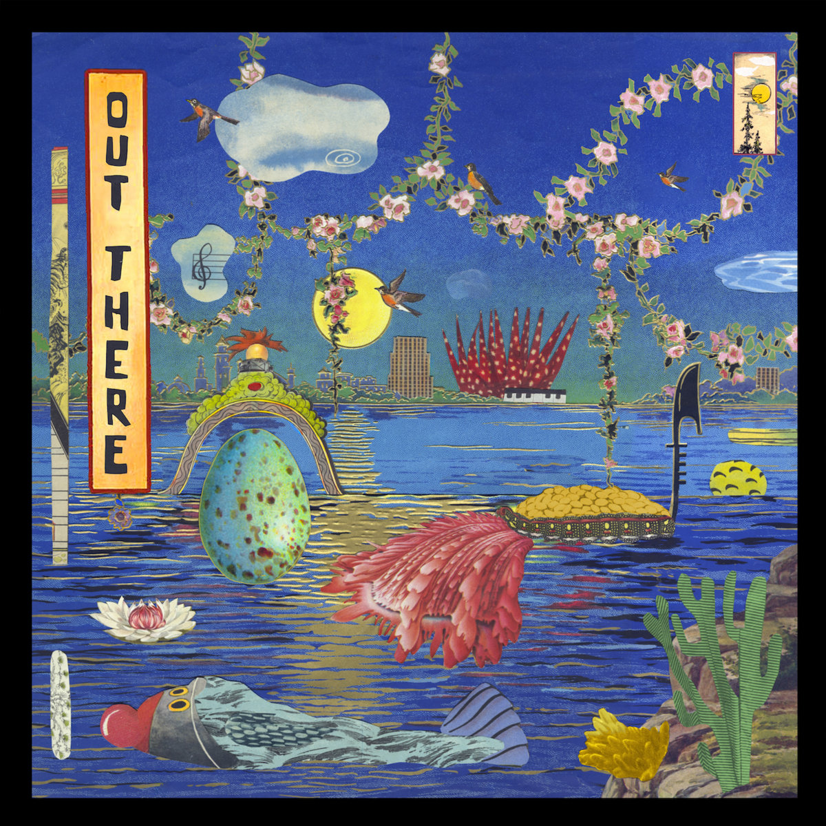 Best Jazz Fusion albums of 2025 - Rate Your Music