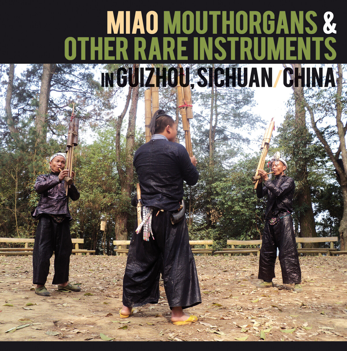 Most popular Hmong Folk Music albums of 2025 - Rate Your Music
