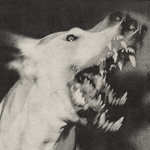 (Angry Noises) by Ciśnienie (Album, Post-Rock): Reviews, Ratings ...