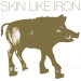 Skin Like Iron Albums: songs, discography, biography, and listening ...